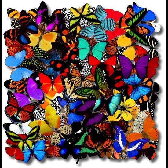 Jennifer Ivory - Main Street Art