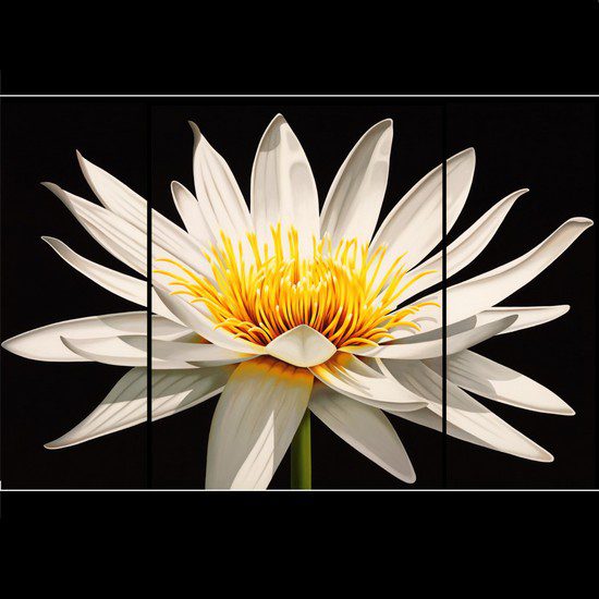 Michael Kuseske - Main Street Art