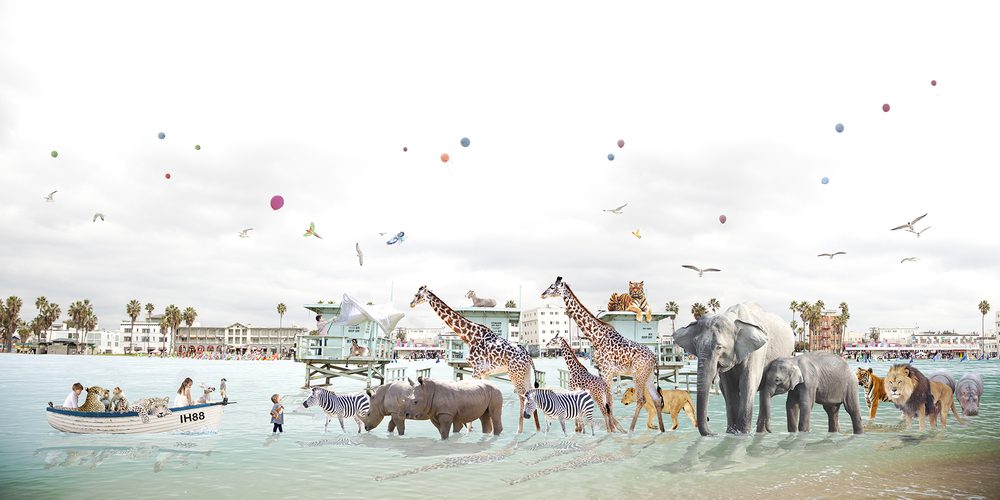 Kate Harrold - Main Street Art